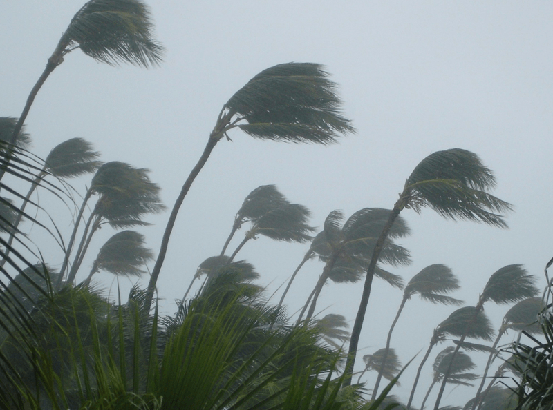 Oasis Platform for Catastrophe and Climate Change Risk Assessment and ...