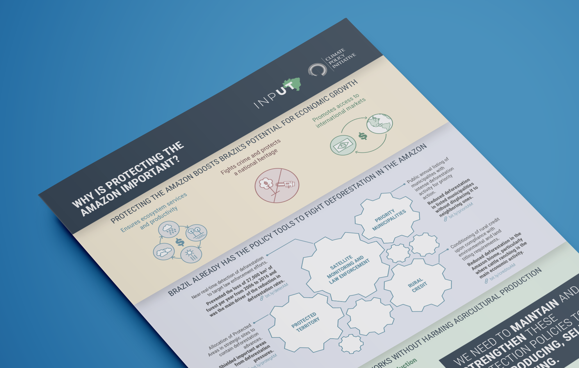 Why is Protecting the Amazon Important? - CPI