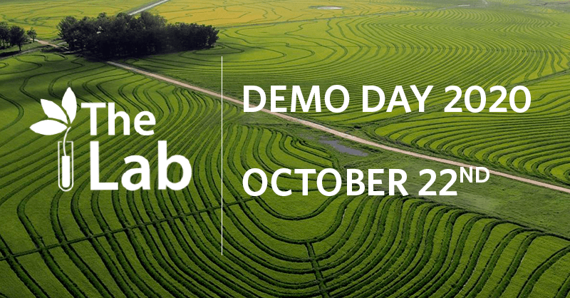 The Lab: Demo Day 2020 - CPI