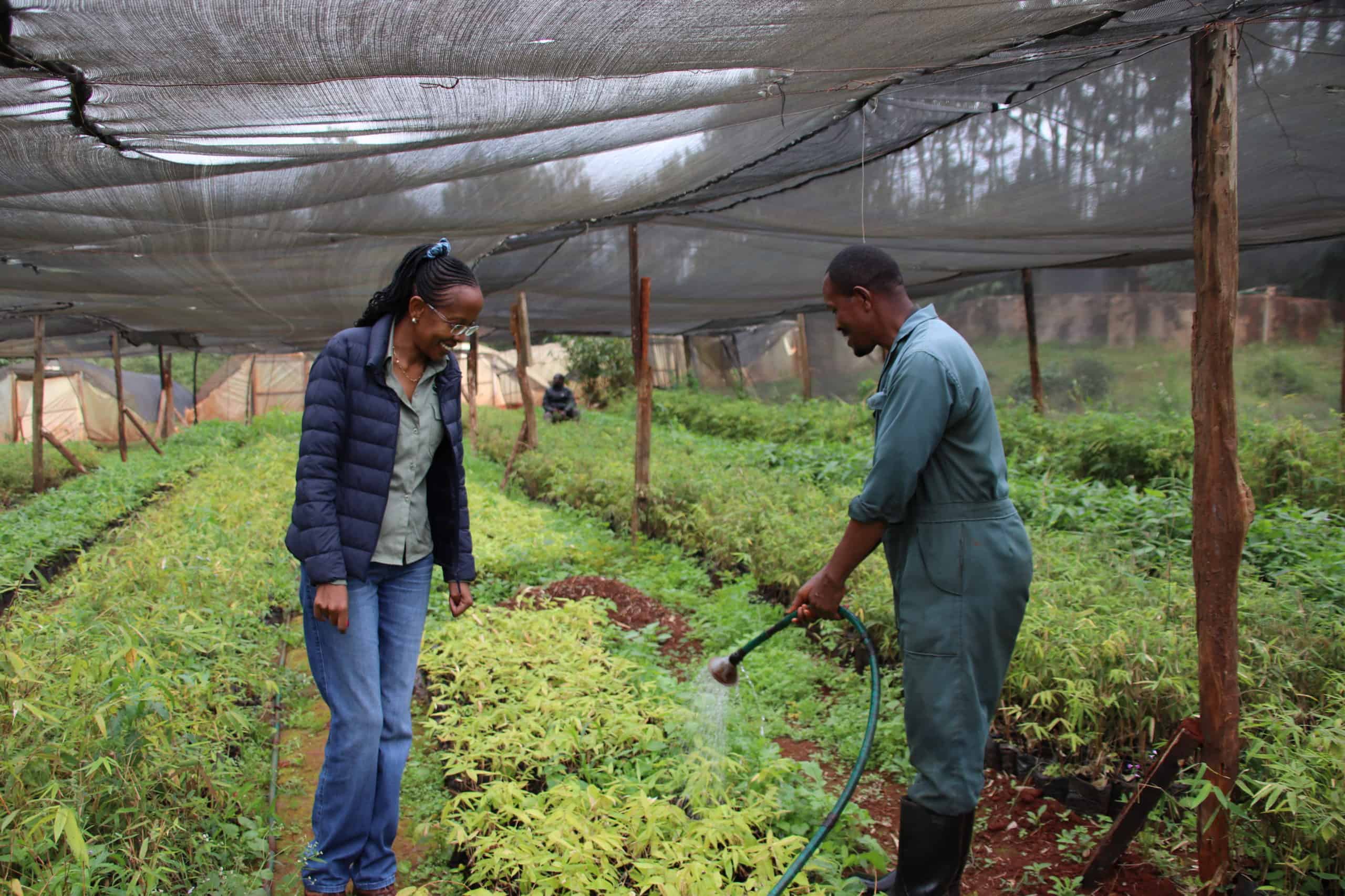 Rural Prosperity Bond - CPI
