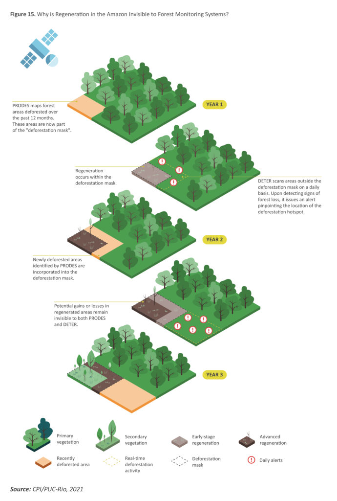 Public Policies for the Protection of the Amazon Forest: What Works and ...