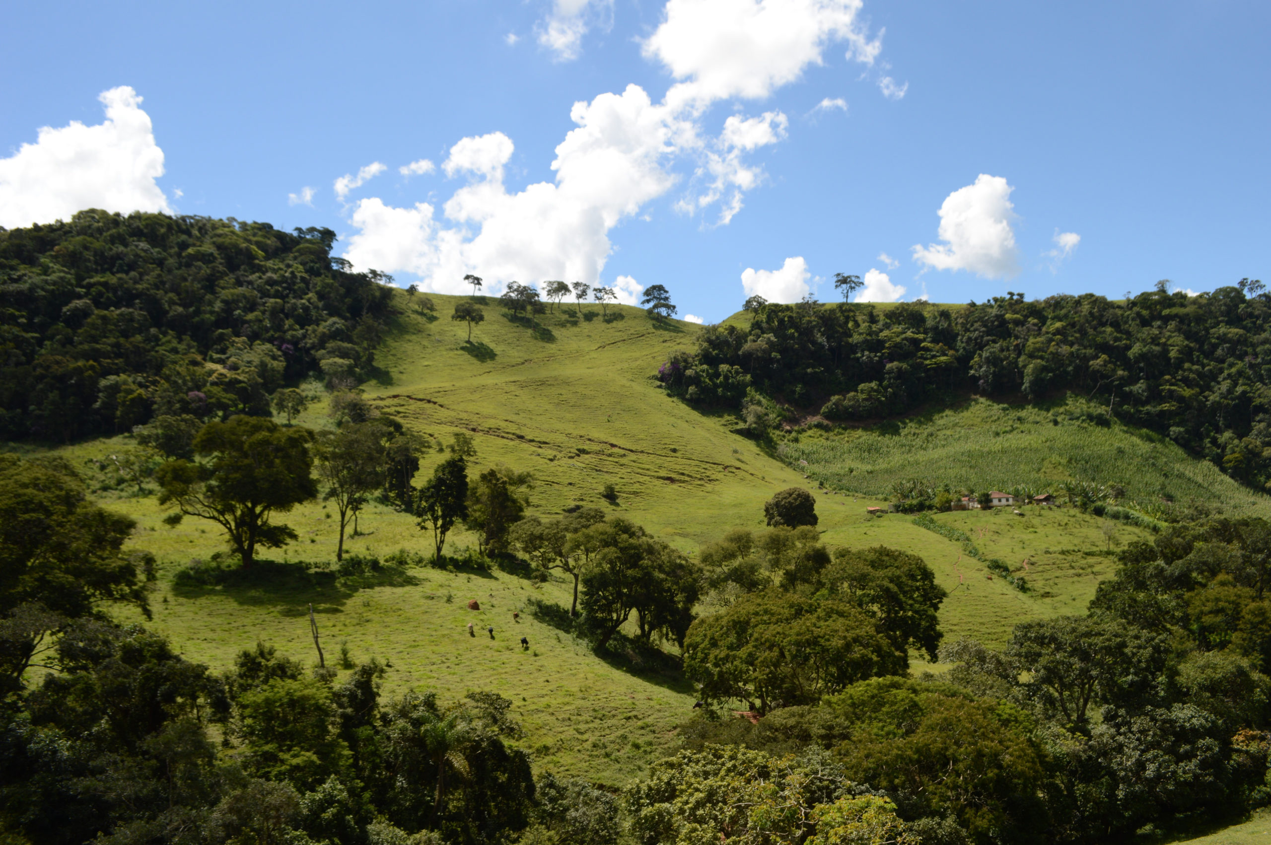 Where Does Brazil Stand with the Implementation of the Forest Code? A ...