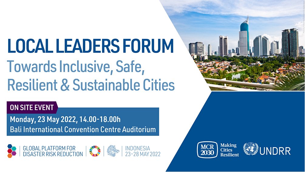 Global Platform for Disaster Risk Reduction - CPI