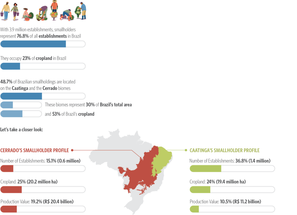 Smallholders in the Caatinga and the Cerrado: A Baseline Analysis for a ...