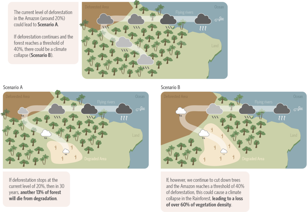 The Amazon Domino Effect: How Deforestation Can Trigger Widespread ...