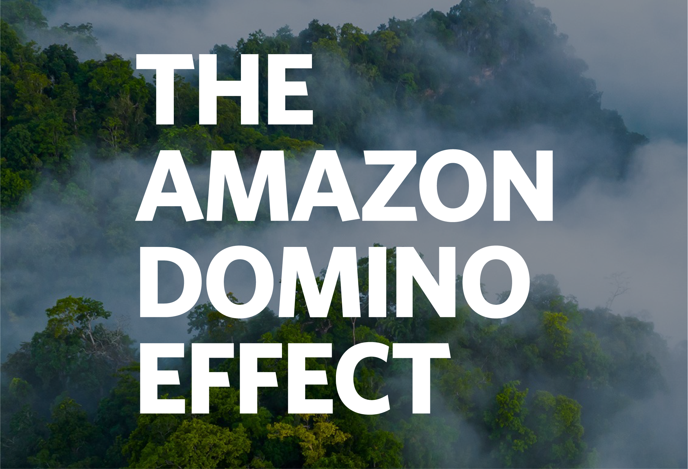 Video: The Amazon Domino Effect - CPI