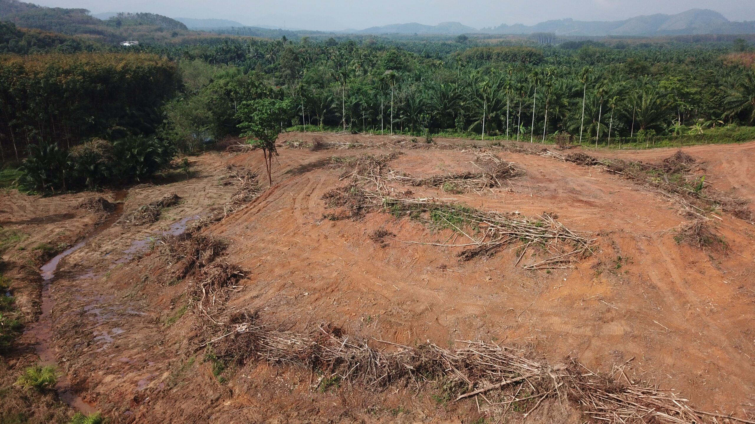 Governance of Forest Concessions in the Amazon: Opportunities for ...