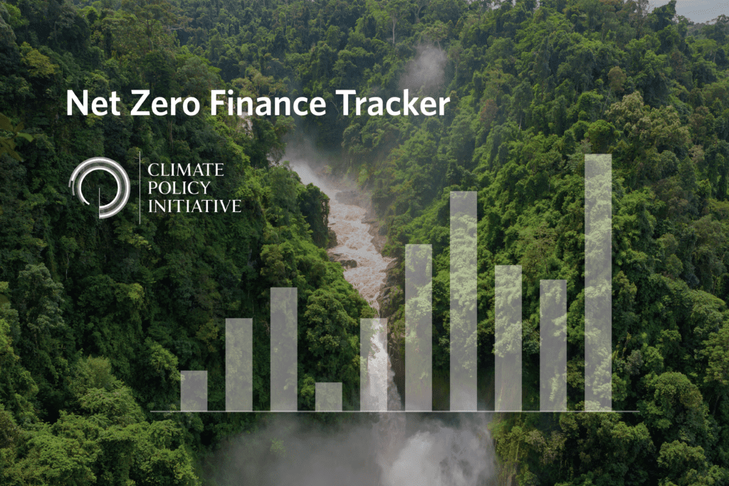 Net Zero Finance Tracker - CPI
