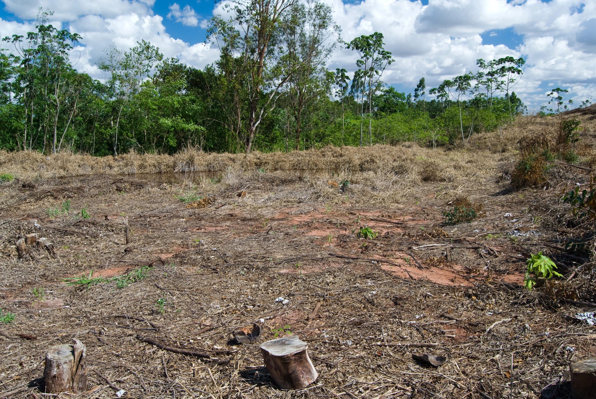 The (Lack of) Control of Legal Deforestation in MATOPIBA: Regulation ...