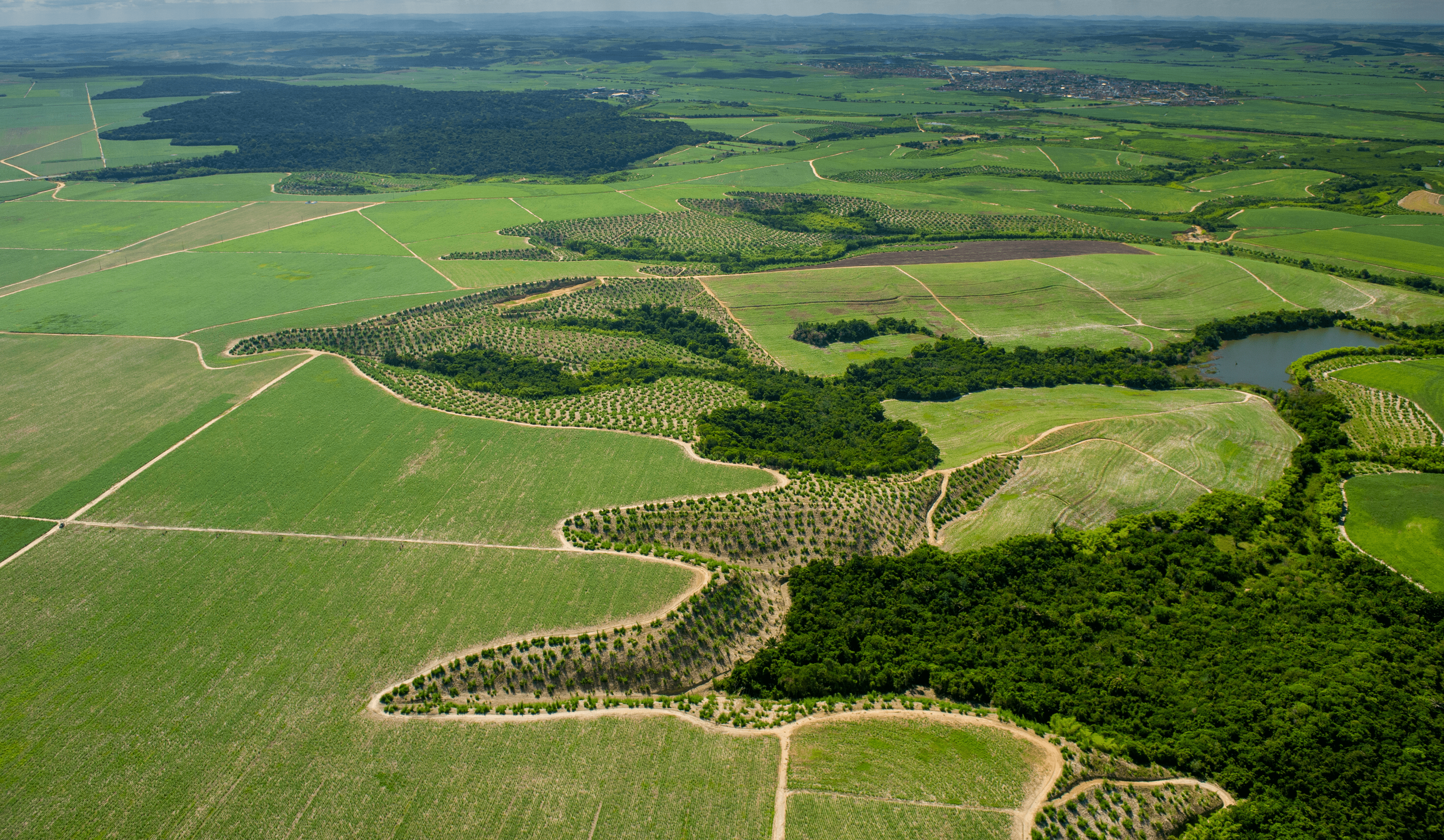 Strengthening Climate Finance Delivery: The Path from Brazil’s G20 ...