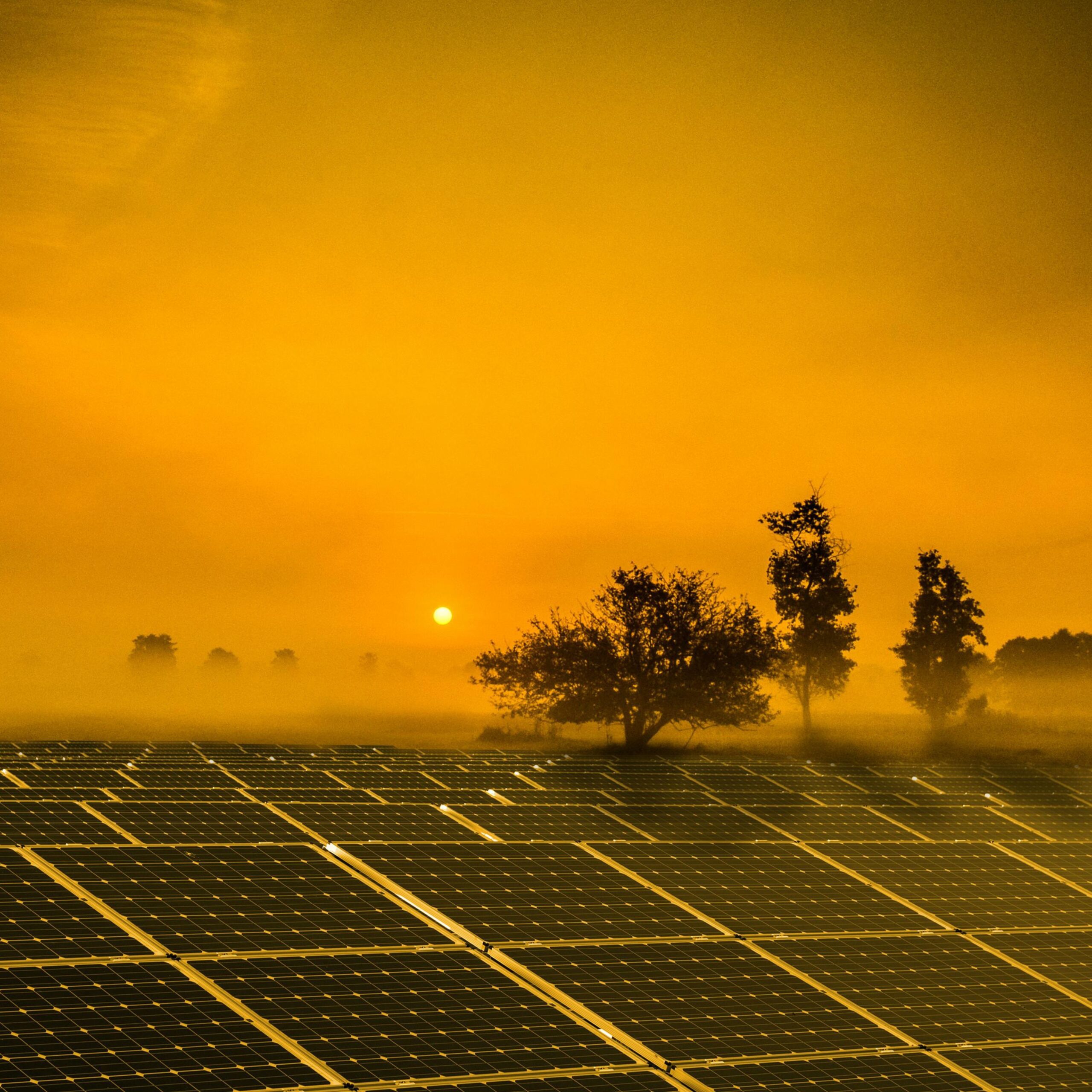 Transforming India's Climate Finance through Sector-Specific Financial ...