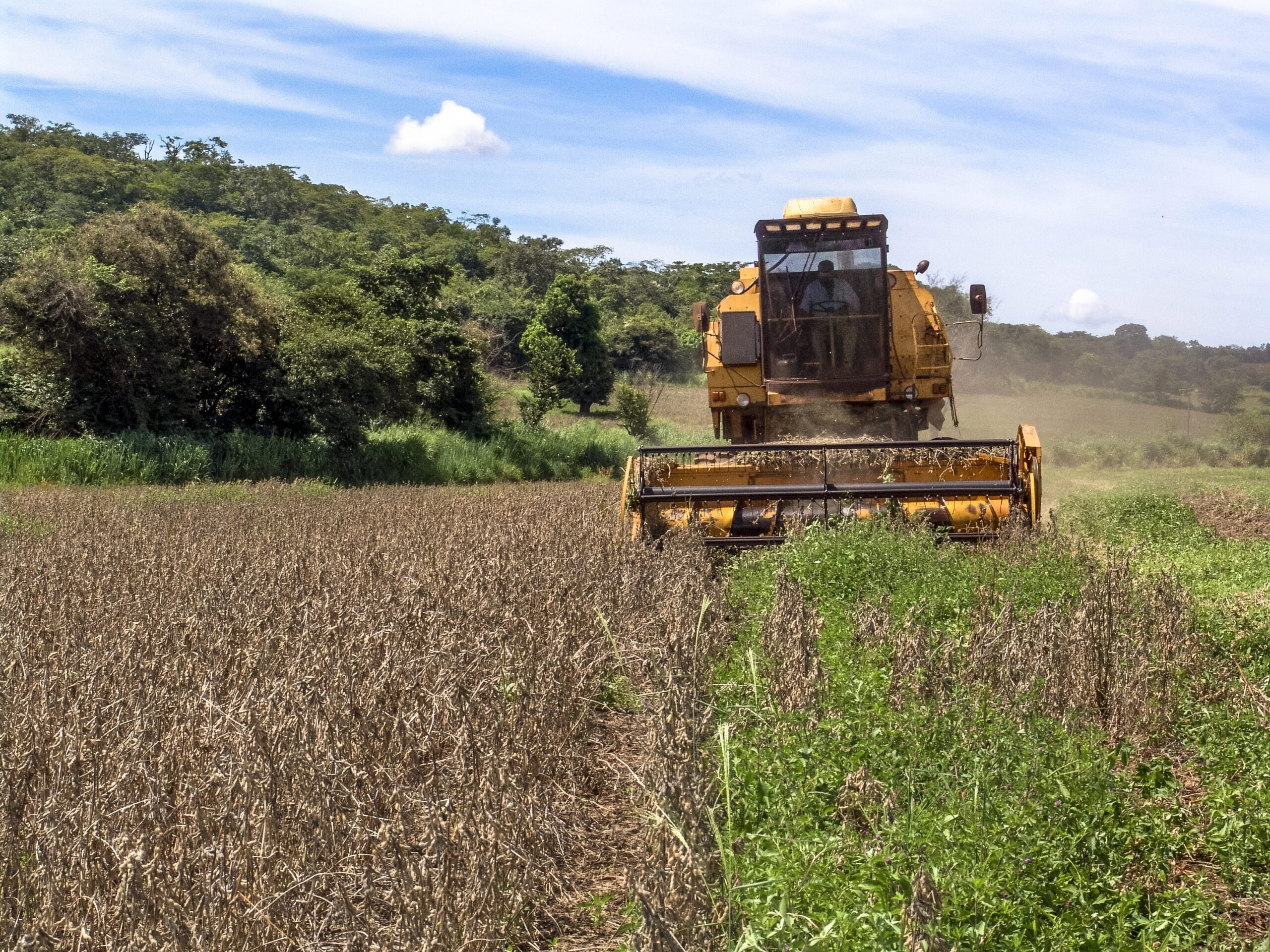 Halting Deforestation through Finance: Regulatory Mapping of the Central Bank of Brazil - CPI