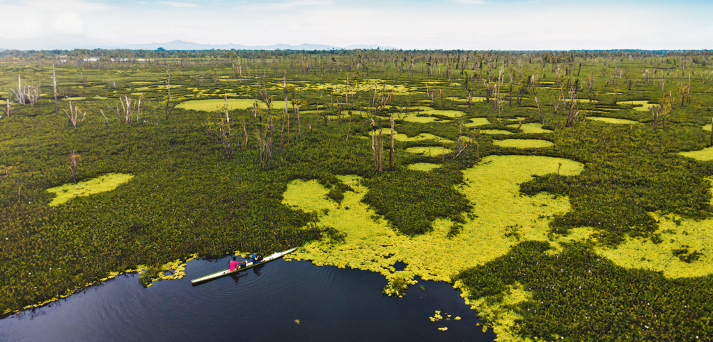 Structured Finance for Nature - CPI