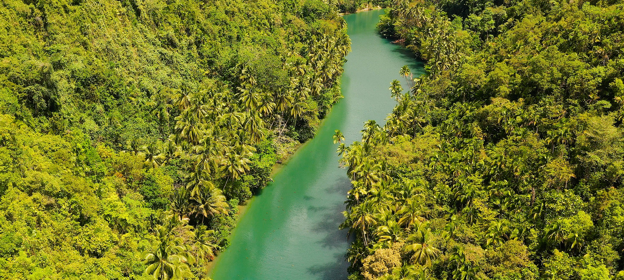 Tropical Forest Countries: Challenges and Opportunities (The Forest ...