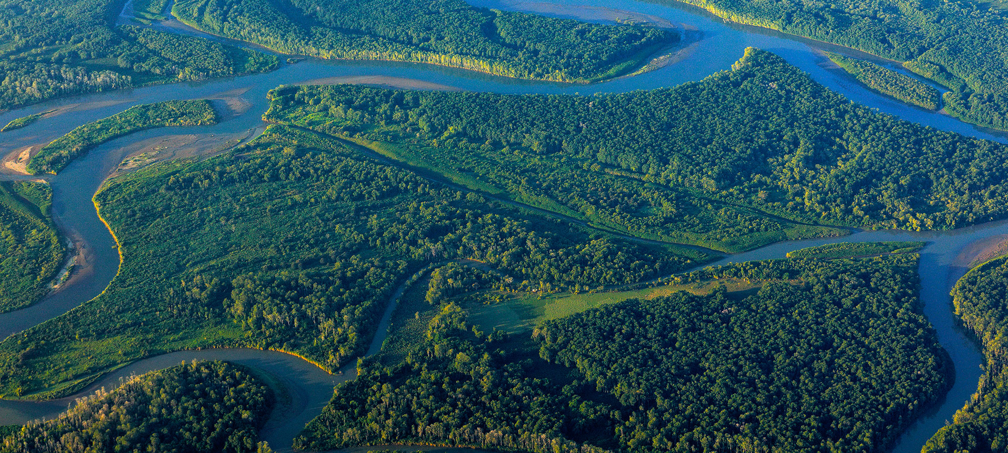 Forest Policy Toolkit: Effectiveness and Political Risks (The Forest ...