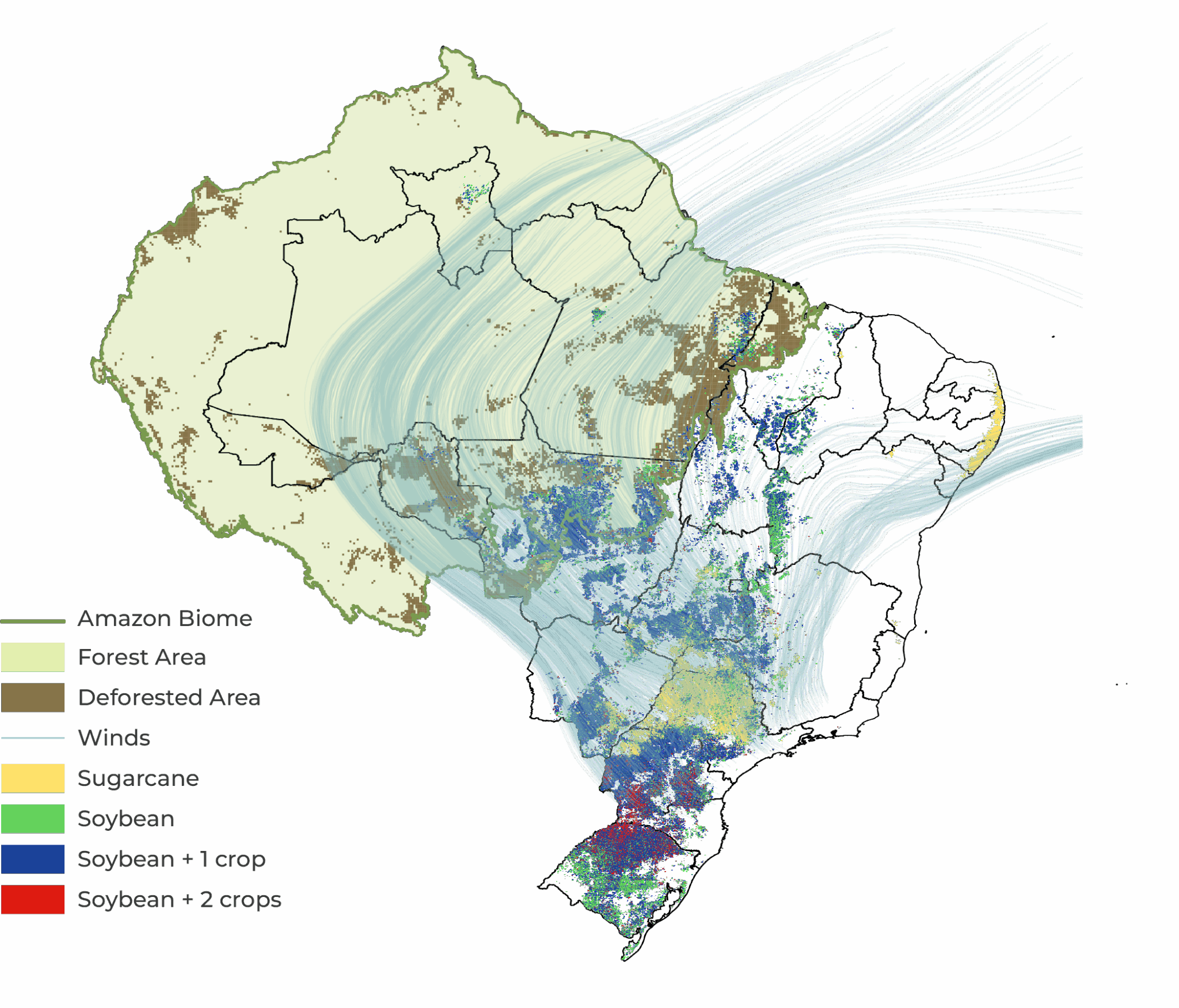 When the River Runs Dry: How Amazon Deforestation Threatens the ...